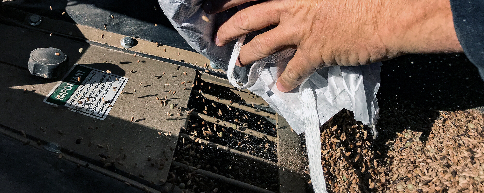 3 Steps To Using Cool-Season Cover Crops On Your Ranch – Noble Research ...