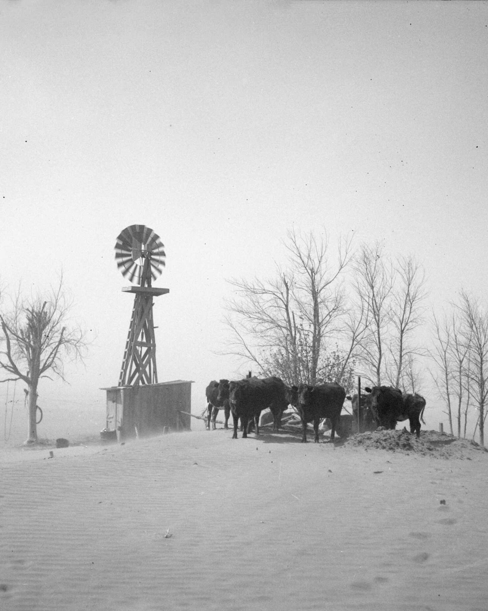 History – Noble Research Institute