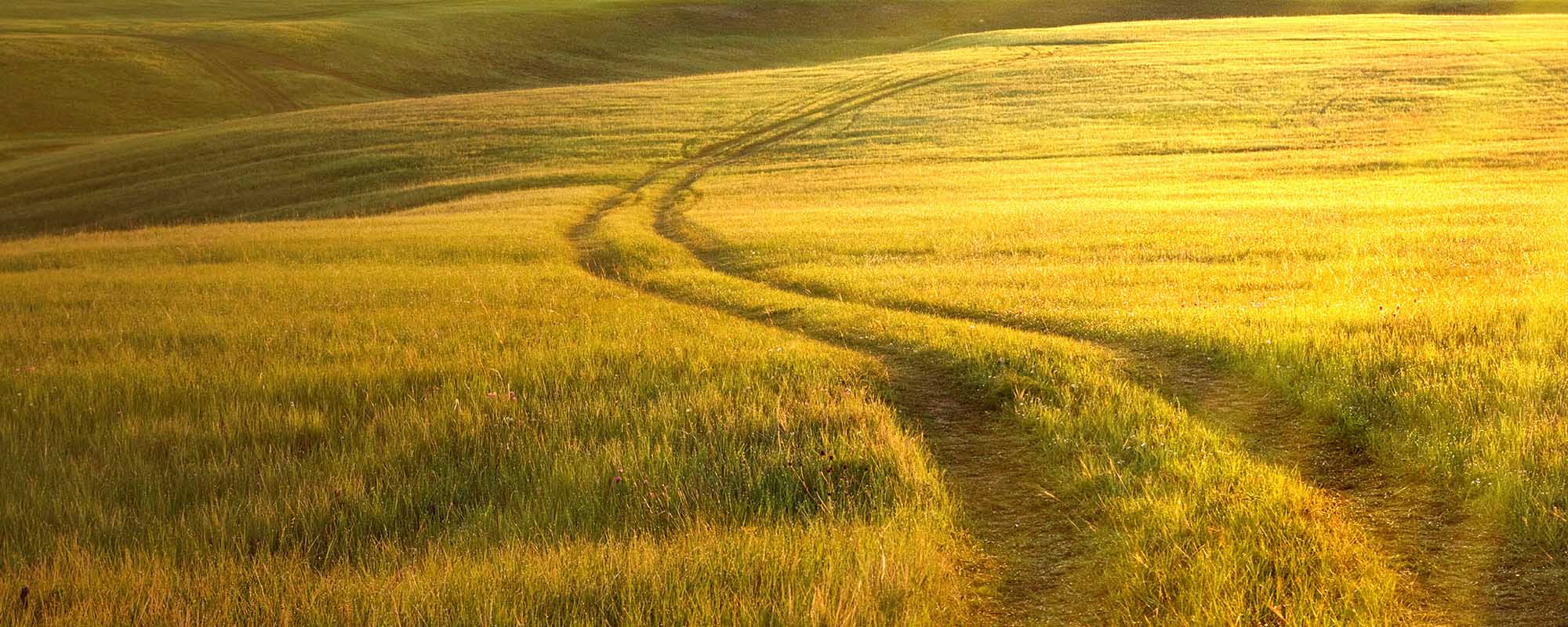 Beneficial Microbes for Agriculture – Noble Research Institute