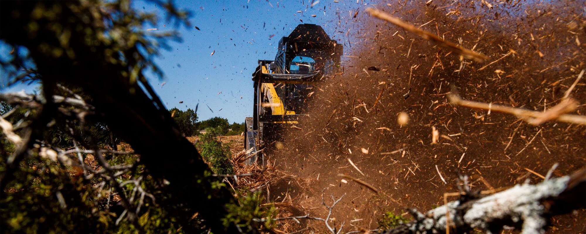 How to Decide Which Brush Management Method is Right for You — And Why ...