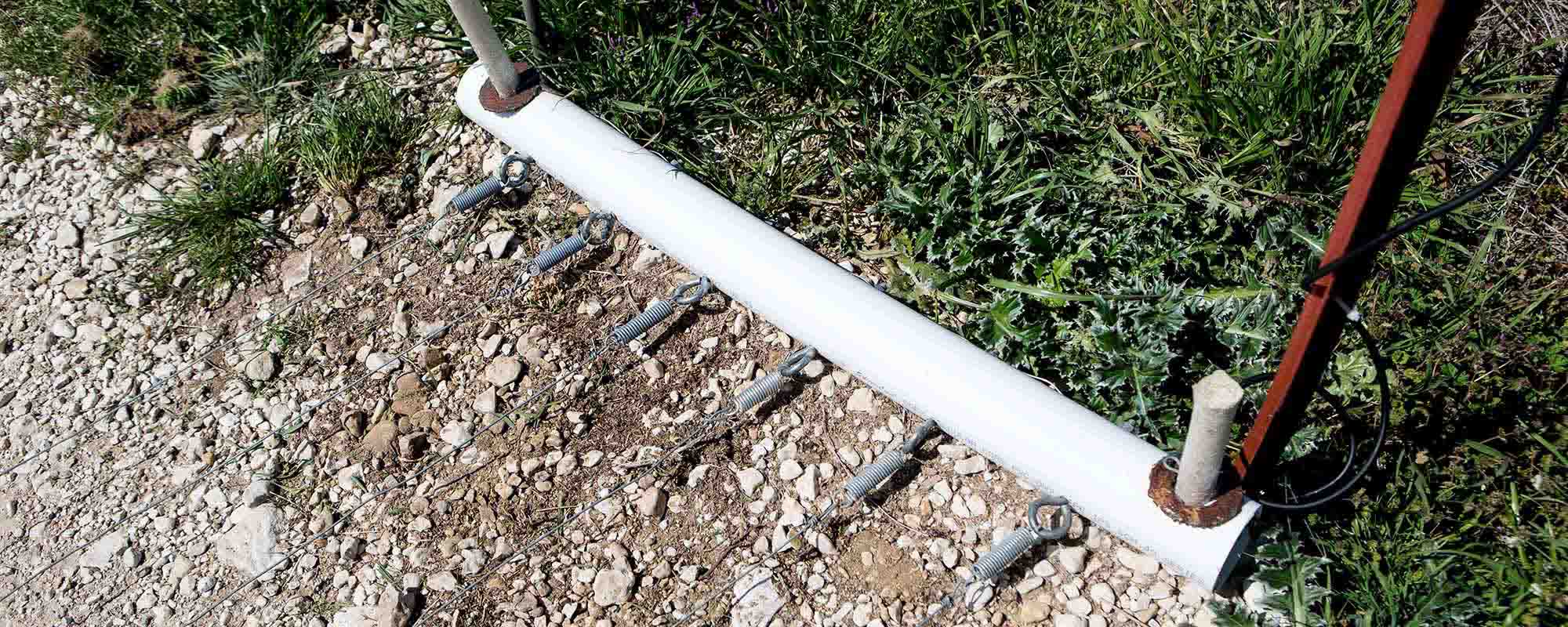 Electric Cattle Guard Saves Time – Noble Research Institute