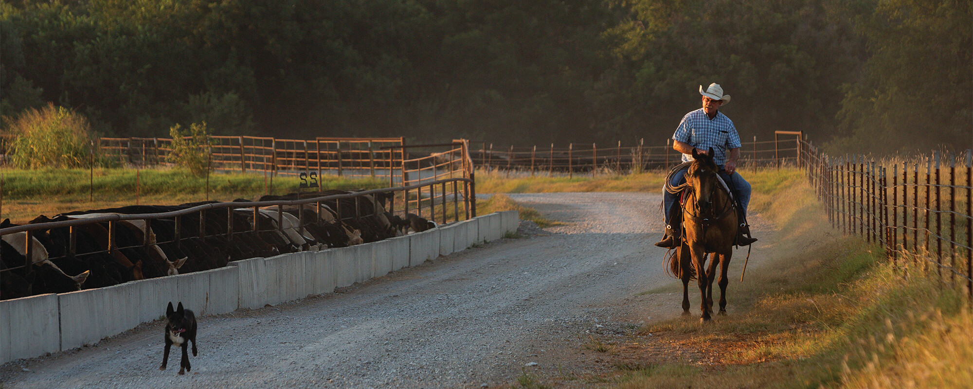 Charting the Course – Noble Research Institute