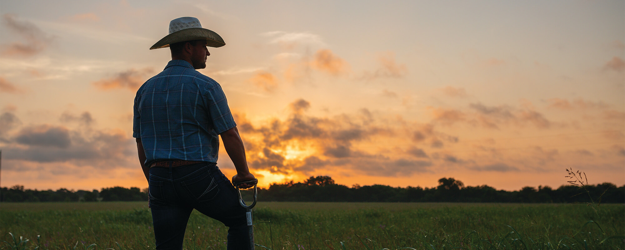 One Bold Step for Noble, One Giant Leap for Regenerative Ranching ...