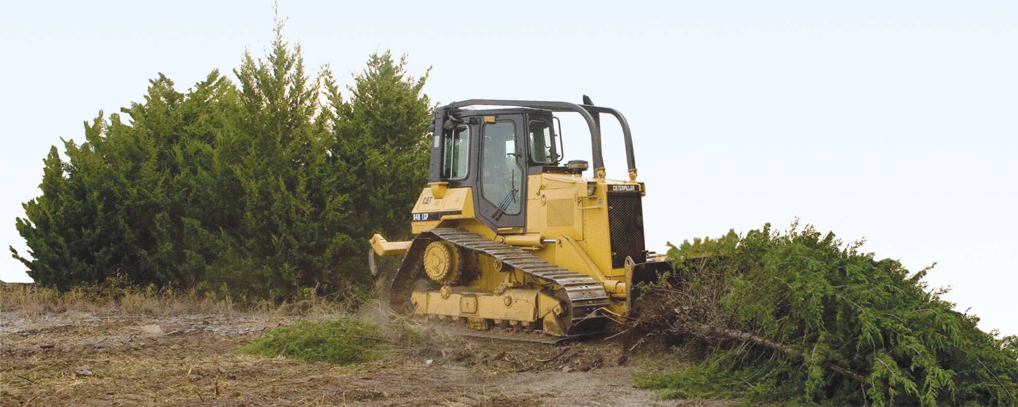 Controlling Eastern Red-cedar, a Common Noxious Weed – Noble Research ...