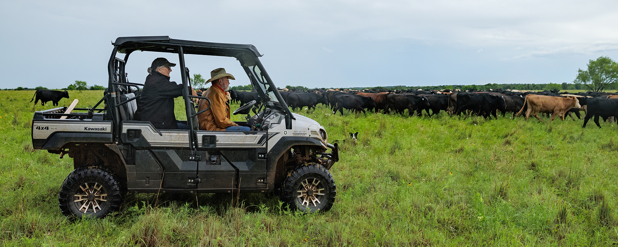 Deborah Clark: Birdwell & Clark Ranch – Noble Research Institute