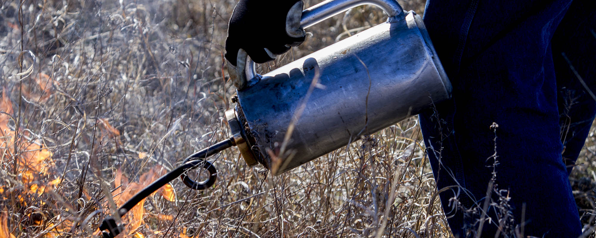 Drip torches facilitate effective prescribed burns – Noble Research ...
