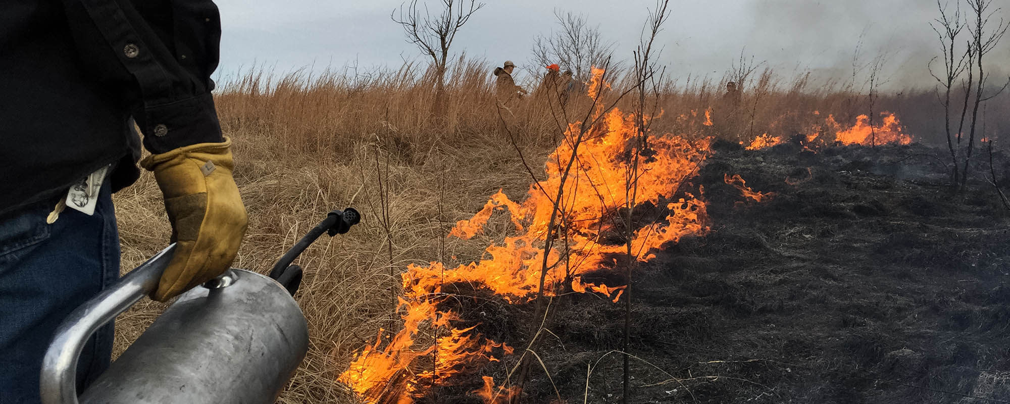 Fire characteristics affect prescribed burn success – Noble Research ...