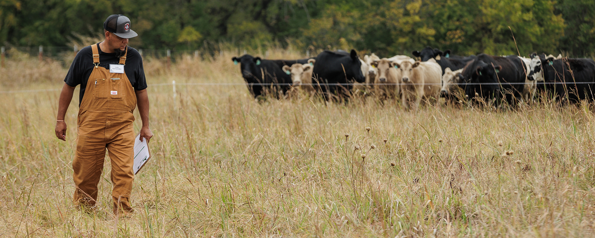 Noble “Essentials” courses deliver new ideas and practices plus a regenerative network – Noble ...