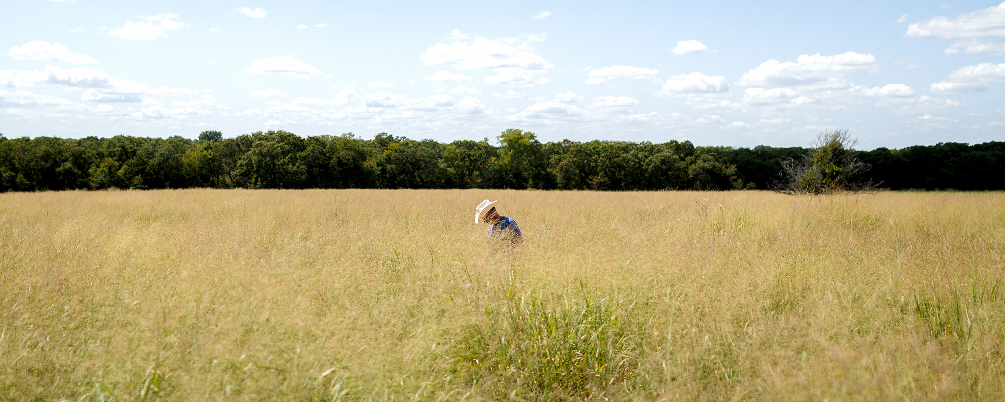 How To Be Regenerative on Other Peoples’ Land – Noble Research Institute