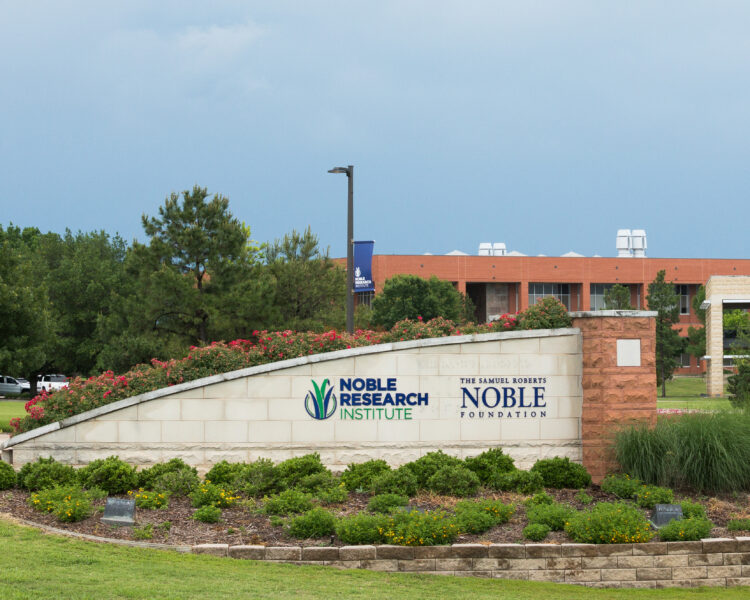 Leadership – Noble Research Institute