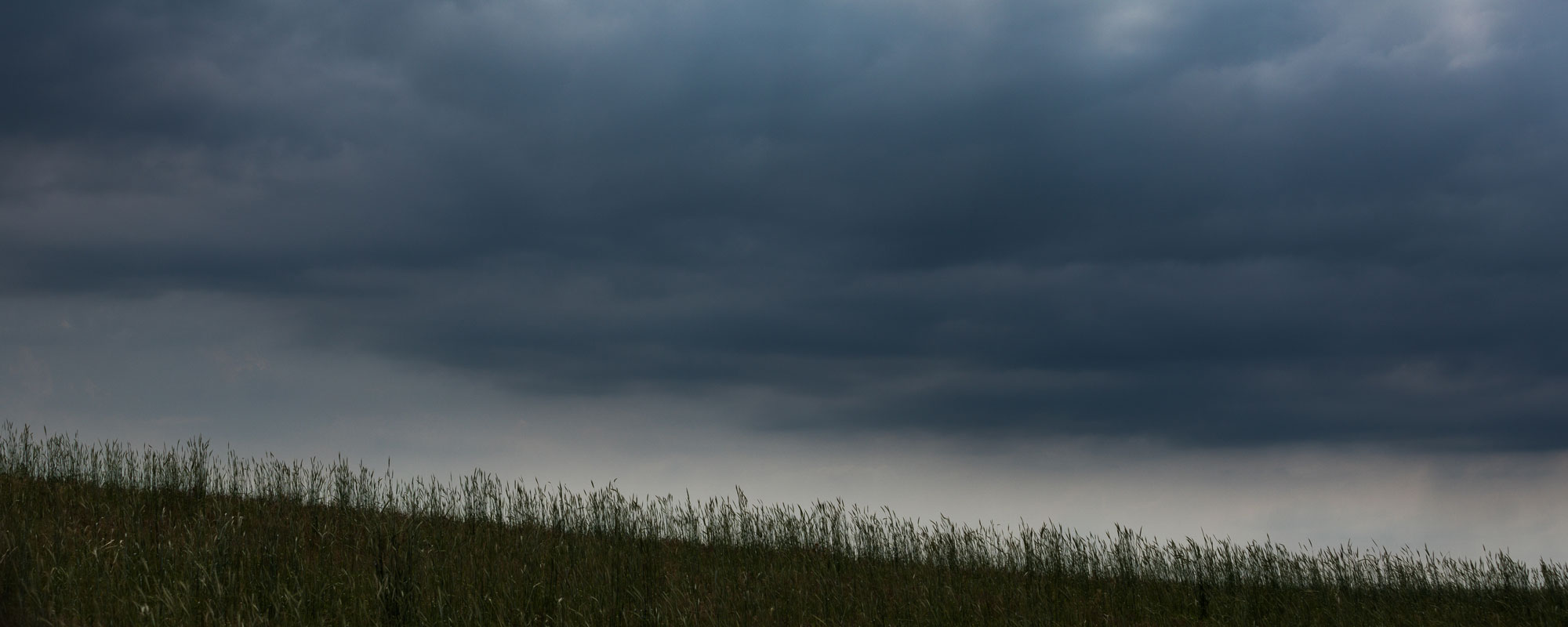 Not All Rainfall Is Effective – Noble Research Institute