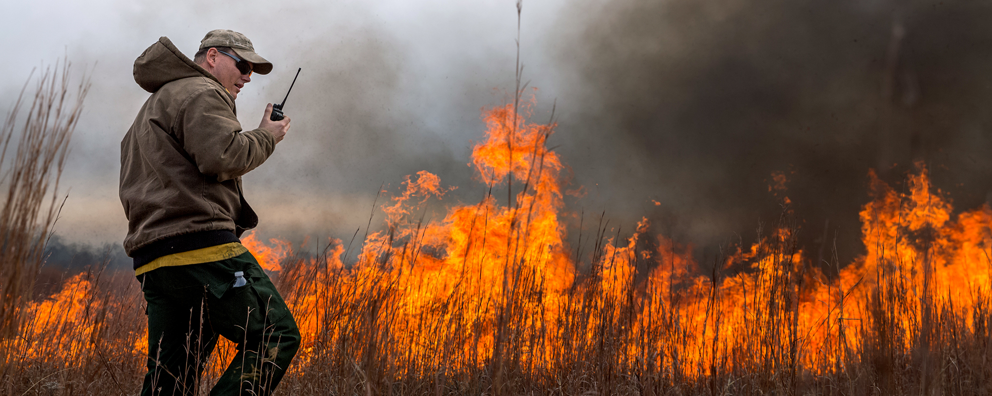 Why You Should Consider Prescribed Burning Throughout the Year – Noble ...