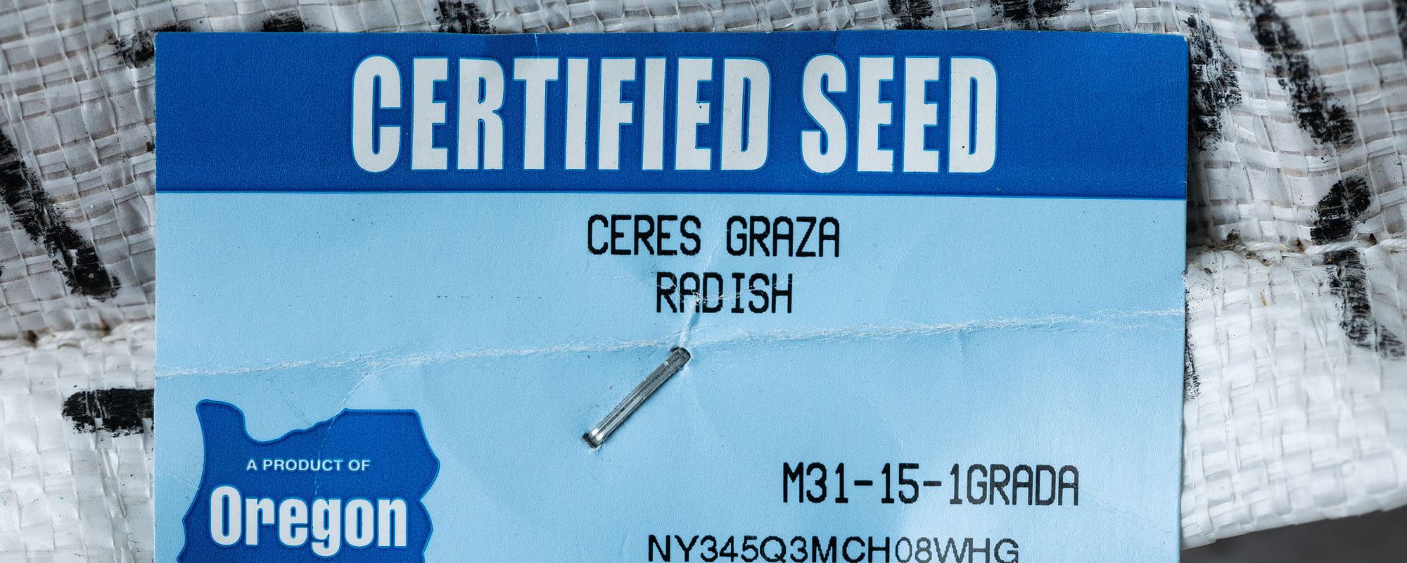 Seed Certification: What Is It and What Does It Mean for You? – Noble ...