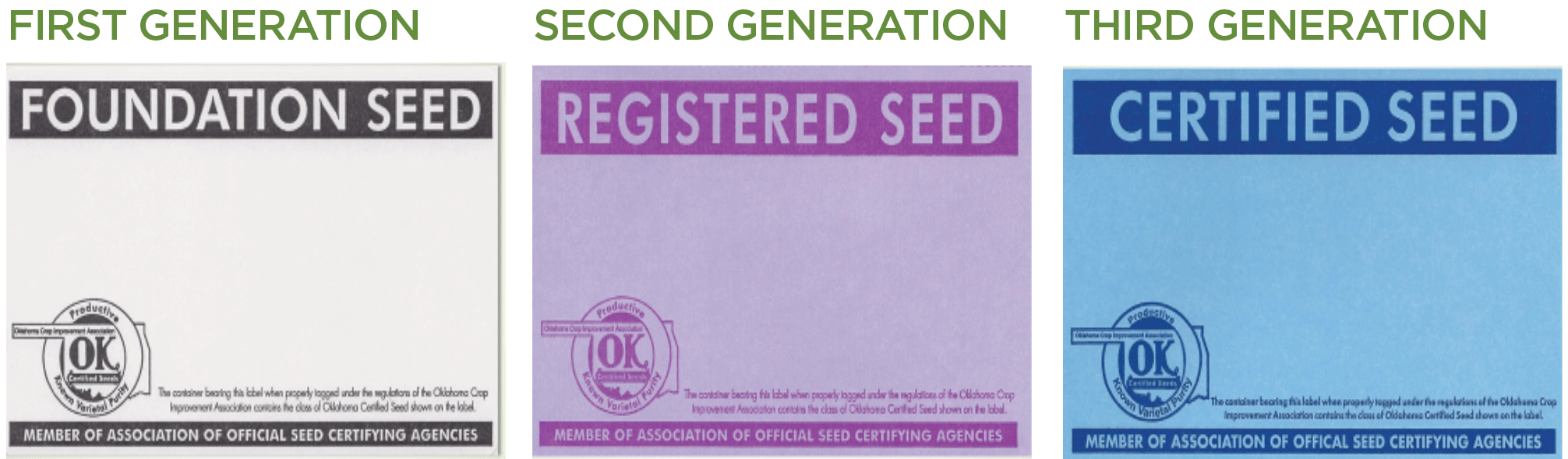 Seed Certification: What Is It and What Does It Mean for You? – Noble Research Institute