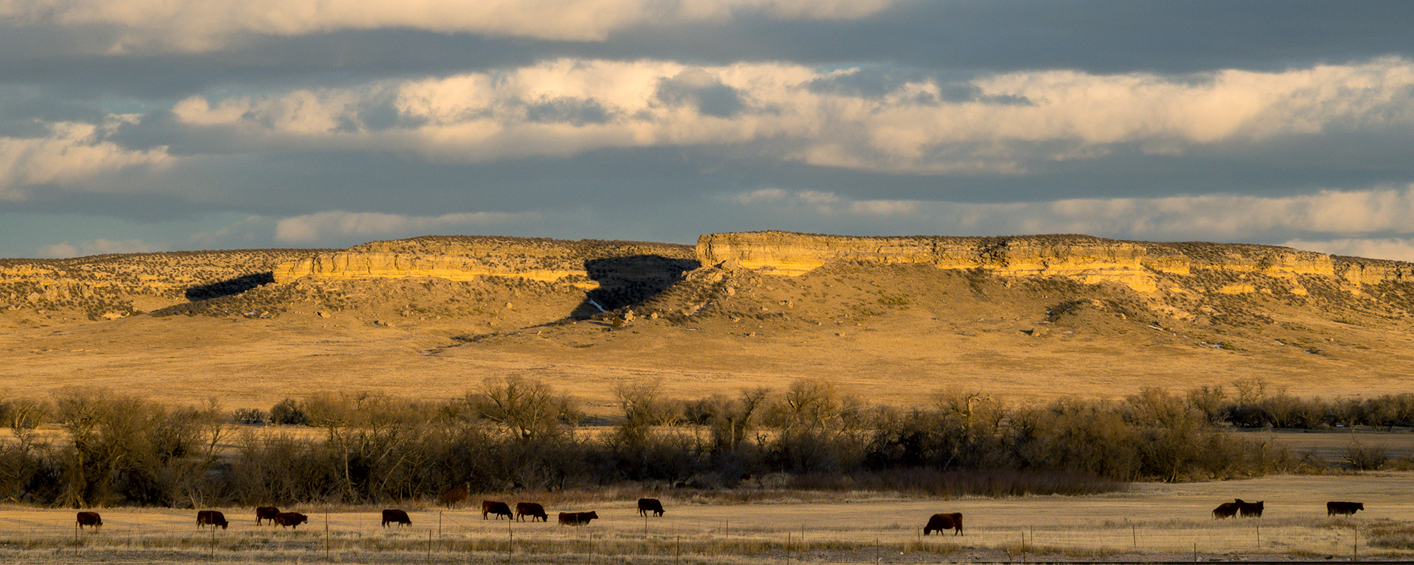 Who Will Take Over The Ranch? – Noble Research Institute