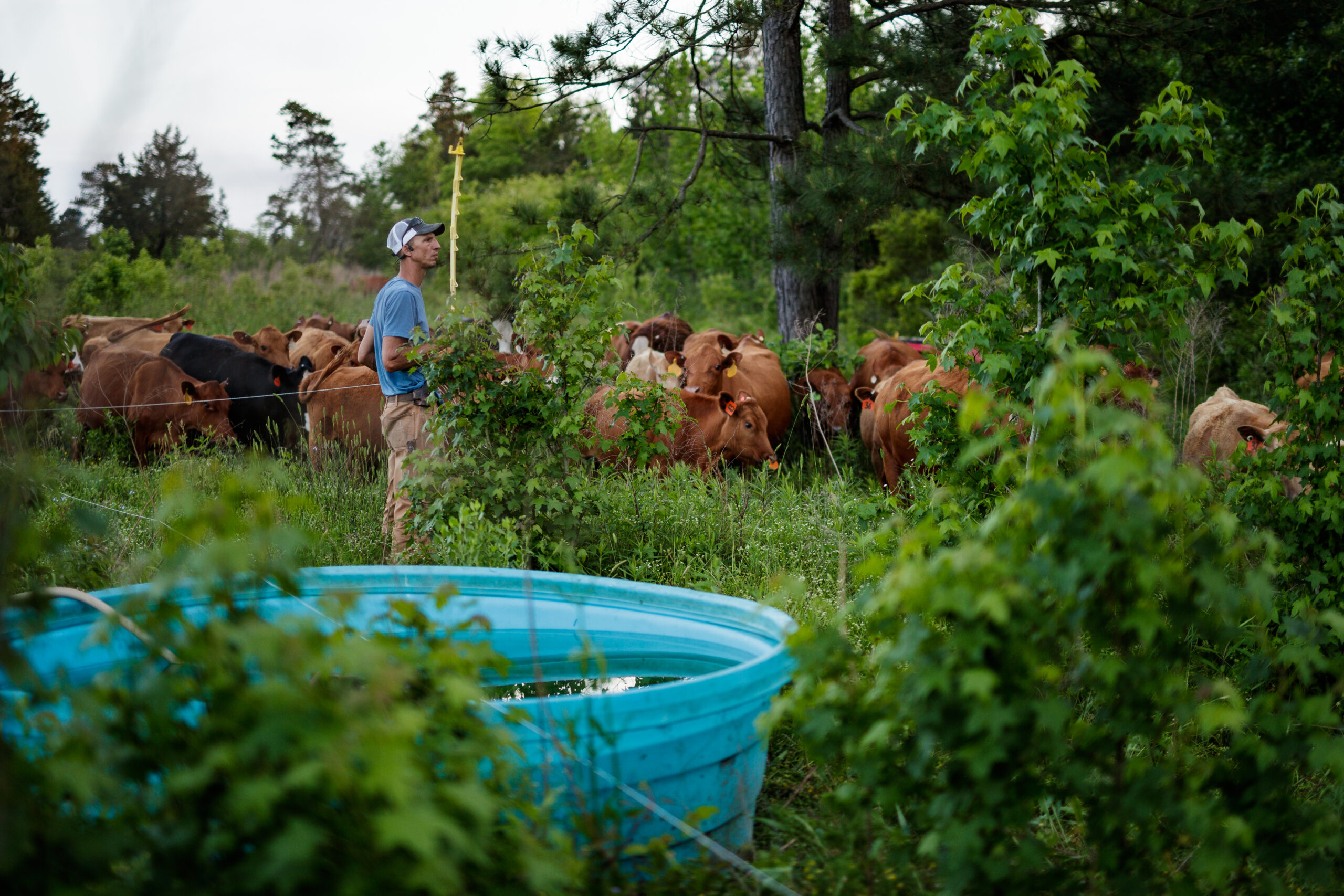 What is Regenerative Agriculture? – Noble Research Institute