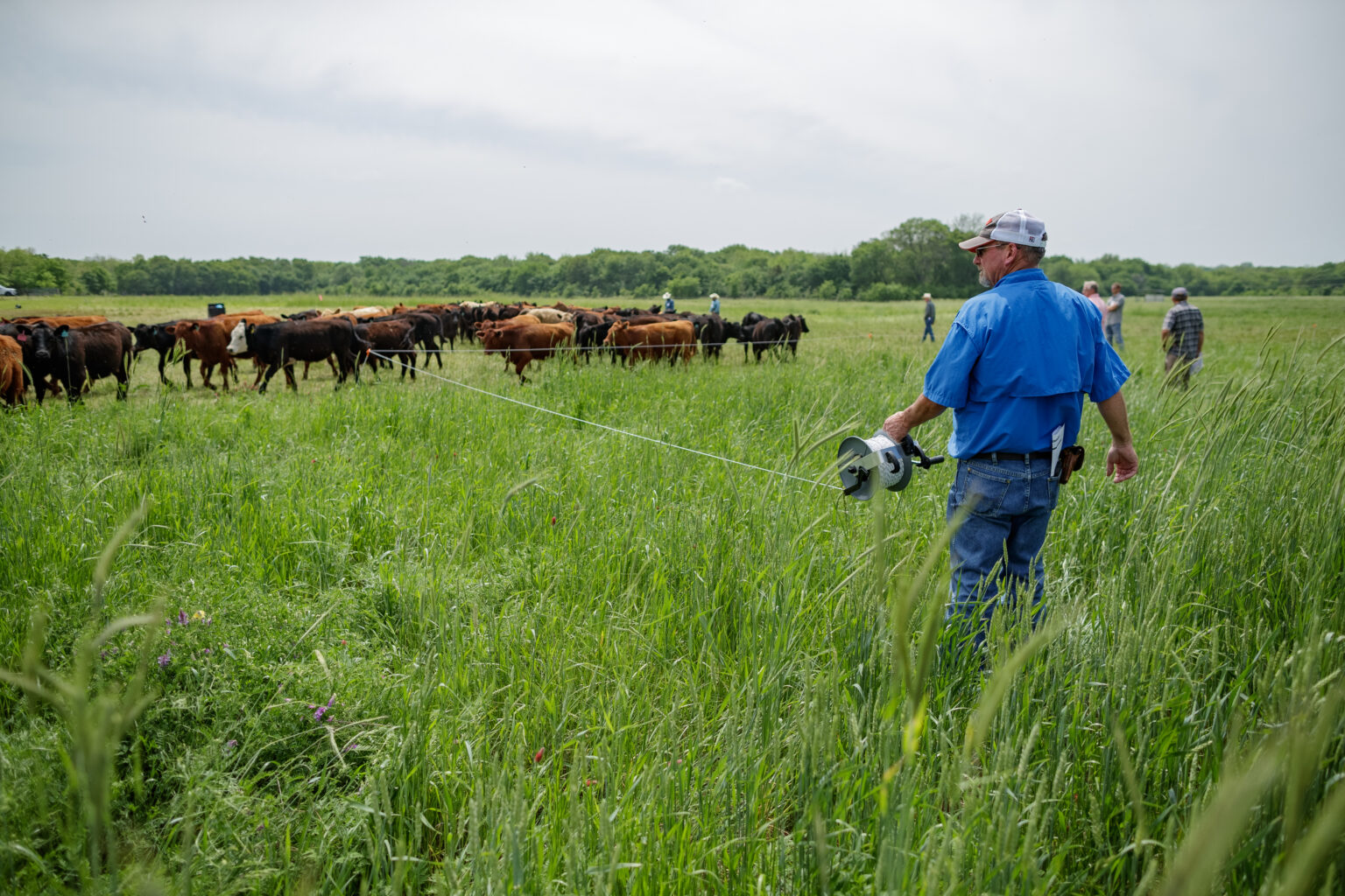 Noble Grazing Essentials – Noble Research Institute