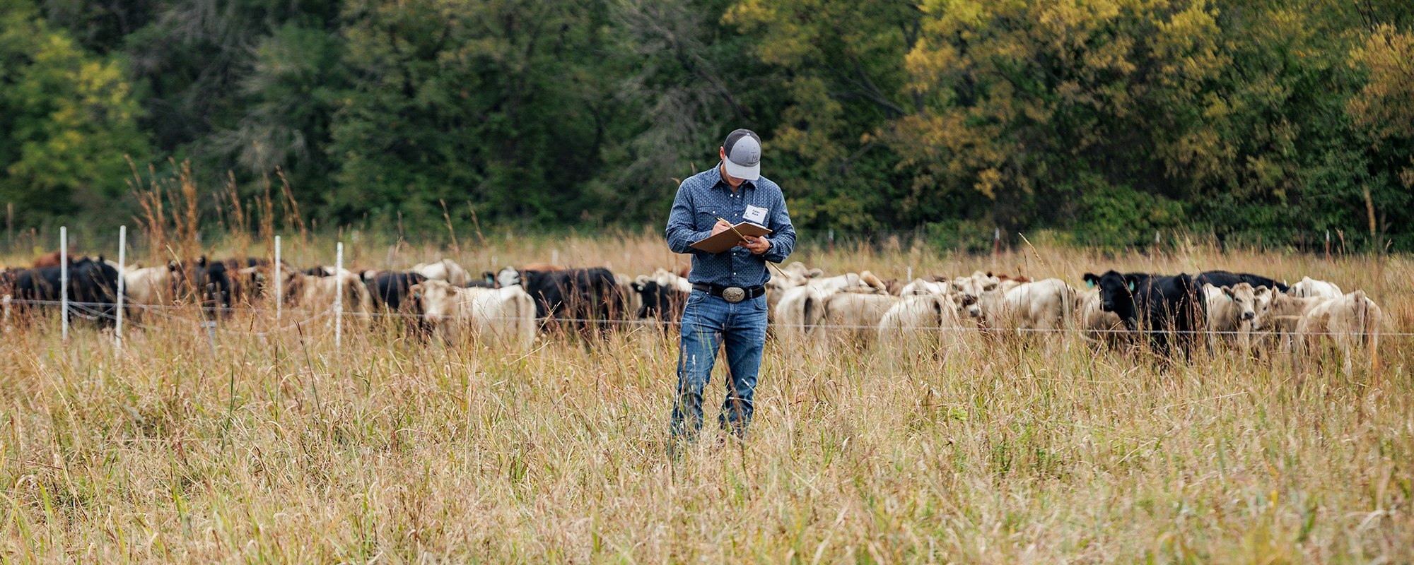 Compute and track your ‘reserve herd days’ to manage forage inventory ...