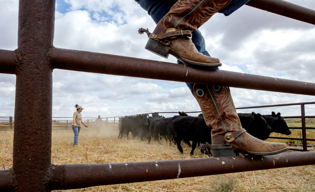 Noble Ranches – Noble Research Institute