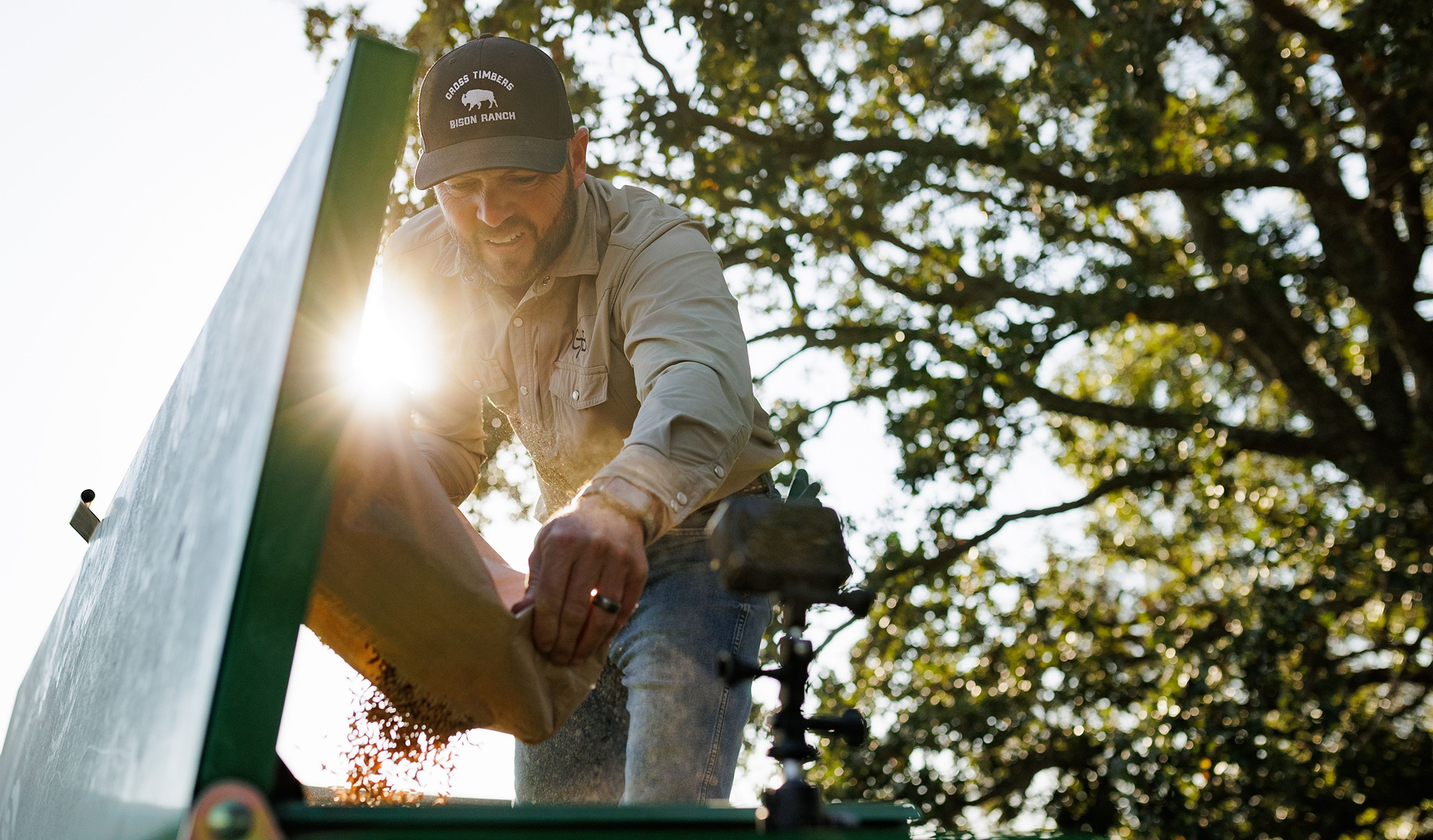 What Your Grass and Cover Crop Seeds Need to Succeed – Noble Research ...