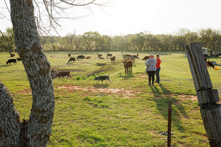 Simple Monitoring for Pasture Management – Noble Research Institute